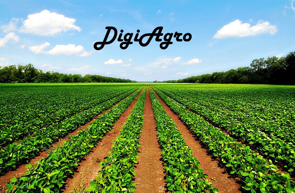 My_Portfolio- Ashwin